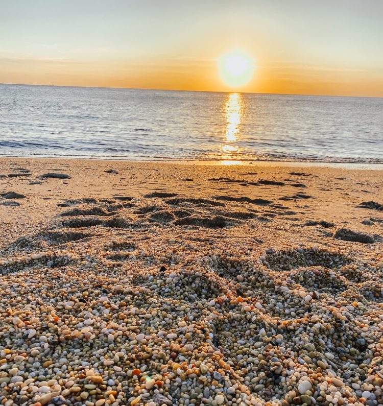 What to do in Cape May New Jersey - Meshko Moments